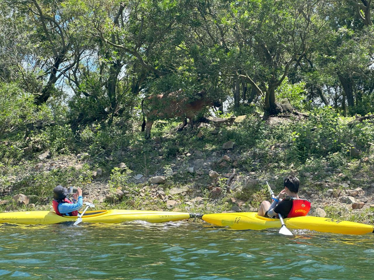 L6 Kayak 1-3 Star Award Training Class | ECF SAINT TOO CANAAN COLLEGE